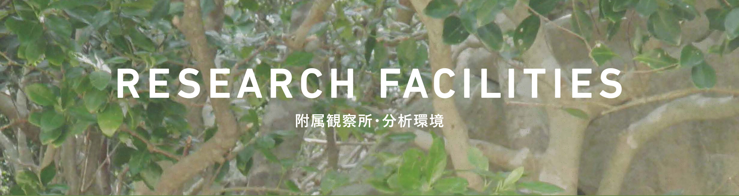 Field Stations | Wildlife Research Center, Kyoto University