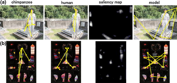 Perceptual mechanism underlying gaze guidance in chimpanzees and humans ...