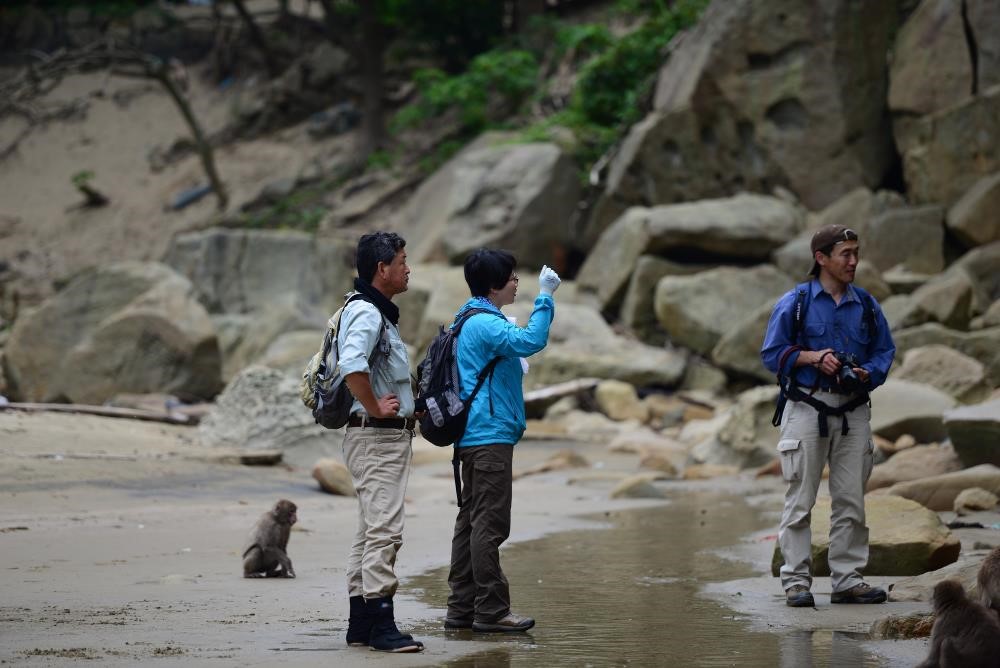 Koshima Field Station, Wildlife Research Center, Kyoto University_Works
