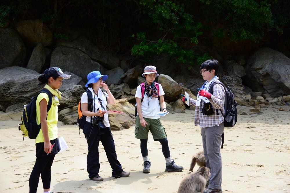 Koshima Field Station, Wildlife Research Center, Kyoto University_Works